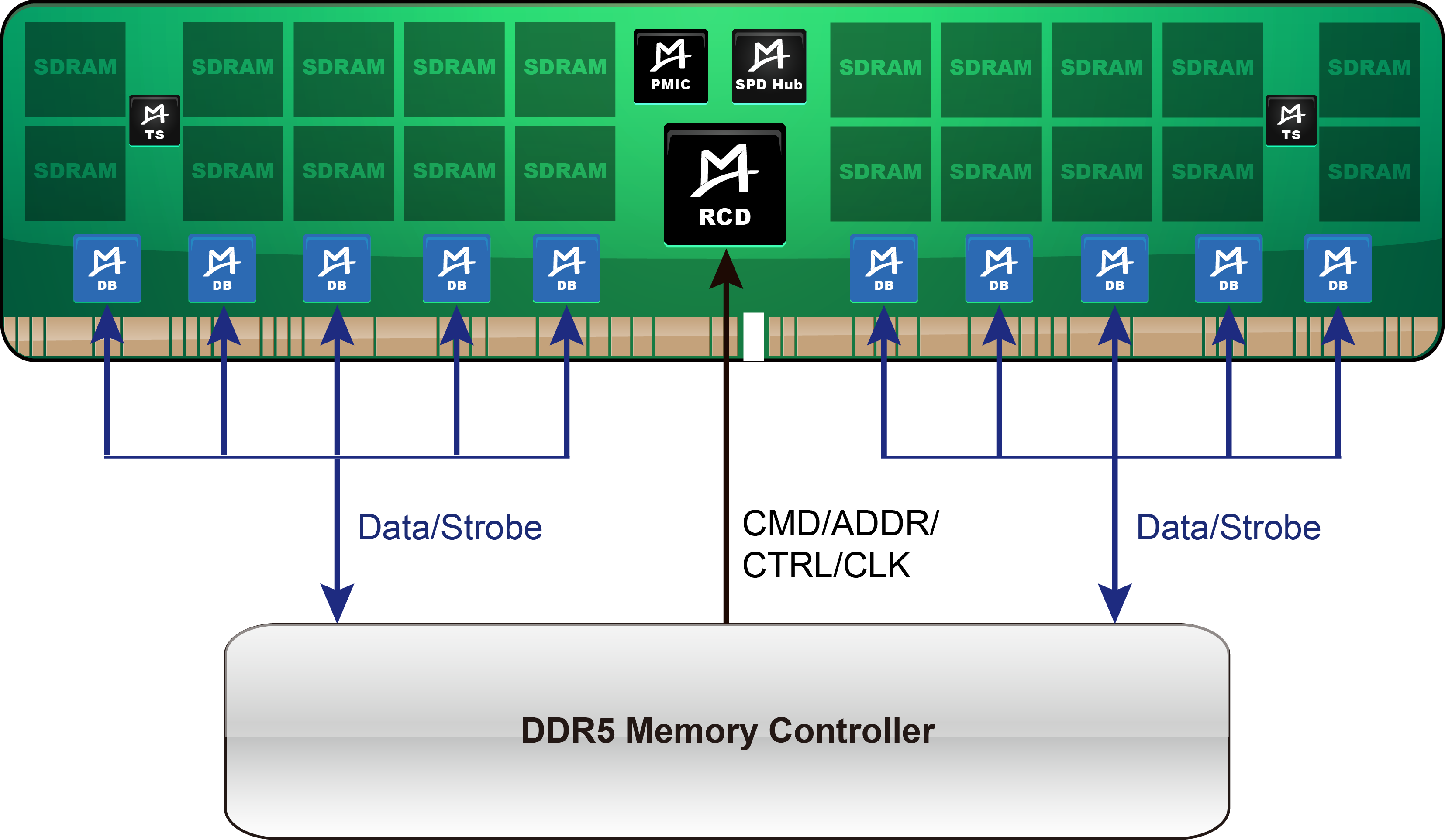 M88DR5DB01 (DDR5 DB) | Montage Technology
